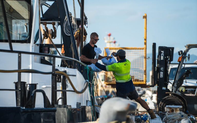 Northern Prawn Fishery – Austral