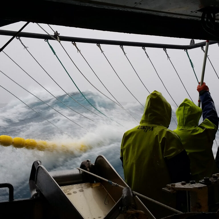 Southern Ocean – Austral