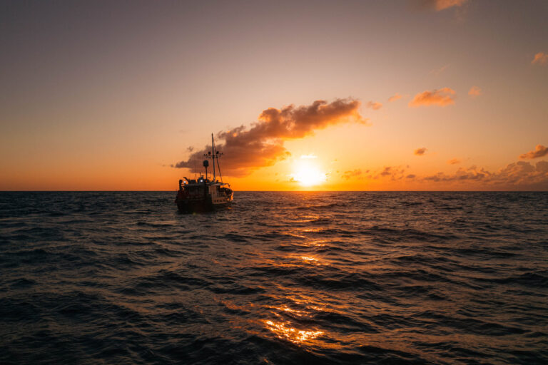 About us – Austral