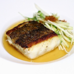 The Rise Of The Patagonian Toothfish – Austral